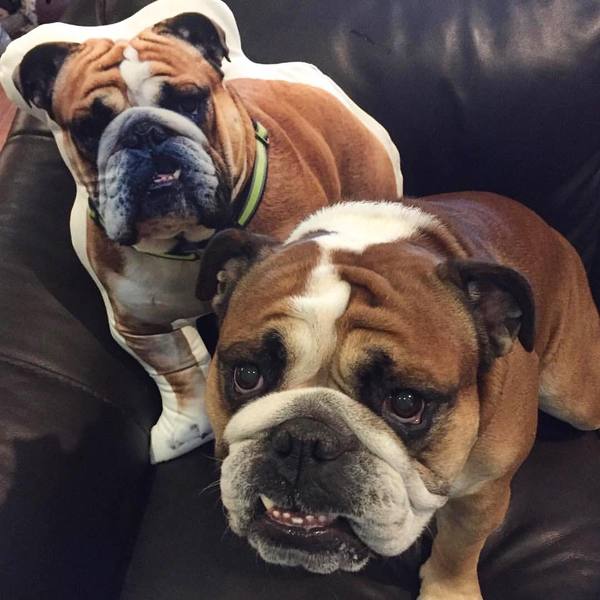 Custom Dog Pillow Dog Shaped Pillow | Pet Pillow Custom