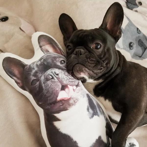 Custom Shaped Dog Pillow Photo Pillows Dog Lover Gifts | Pet Pillow Custom