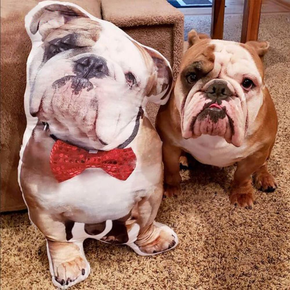 Personalized Dog Pillows Customized Photo Pillows | Pet Pillow Custom