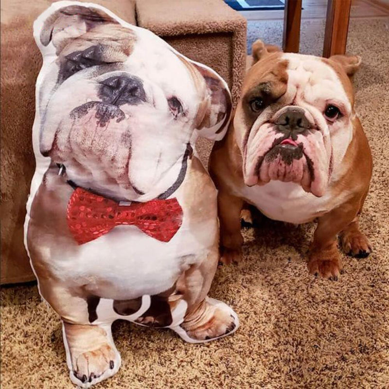 Pet Pillow – Pet Pillow Custom
